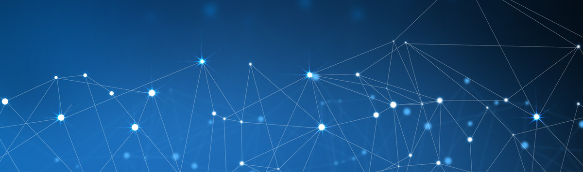 Visura Ordinaria - Visura.it